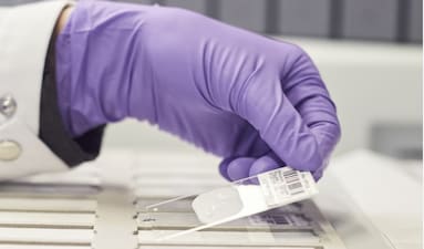 Robust science and rigorous testing | PMI - Malaysia - EN