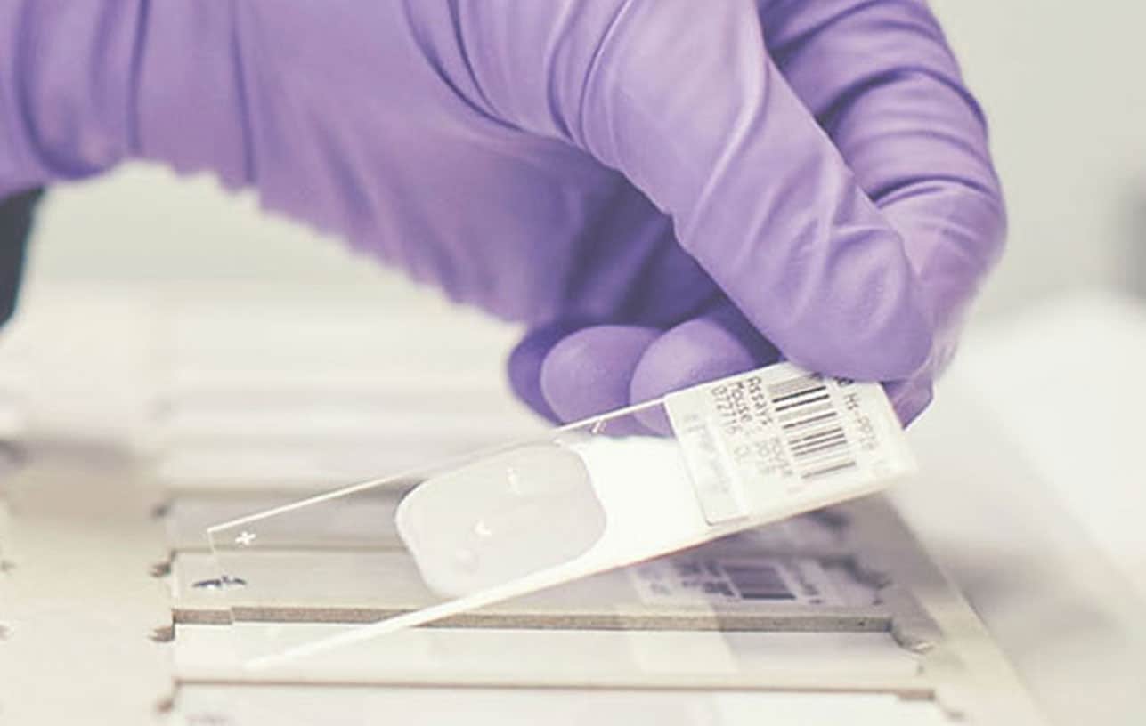 About us | PMI - Georgia - EN