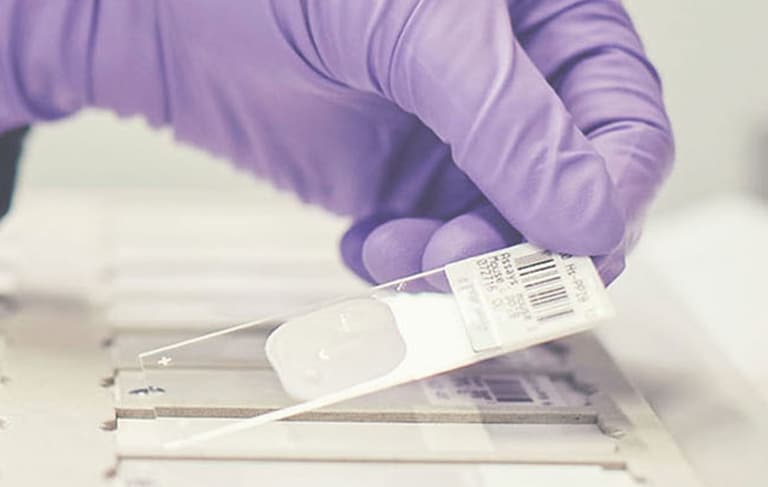 About us | PMI - Georgia - EN