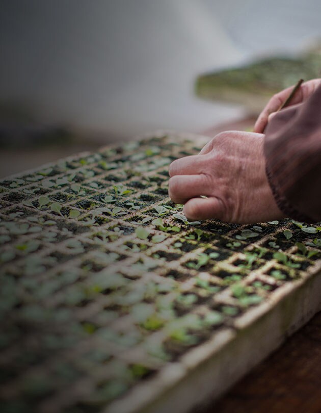 VEEV ONE explained | PMI - Philip Morris International