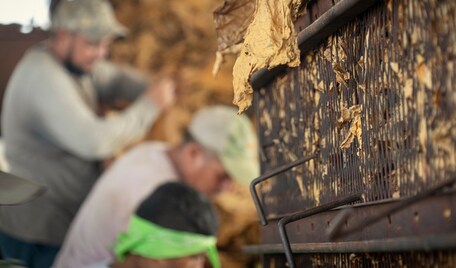 Illicit trade prevention | PMI - Philip Morris International