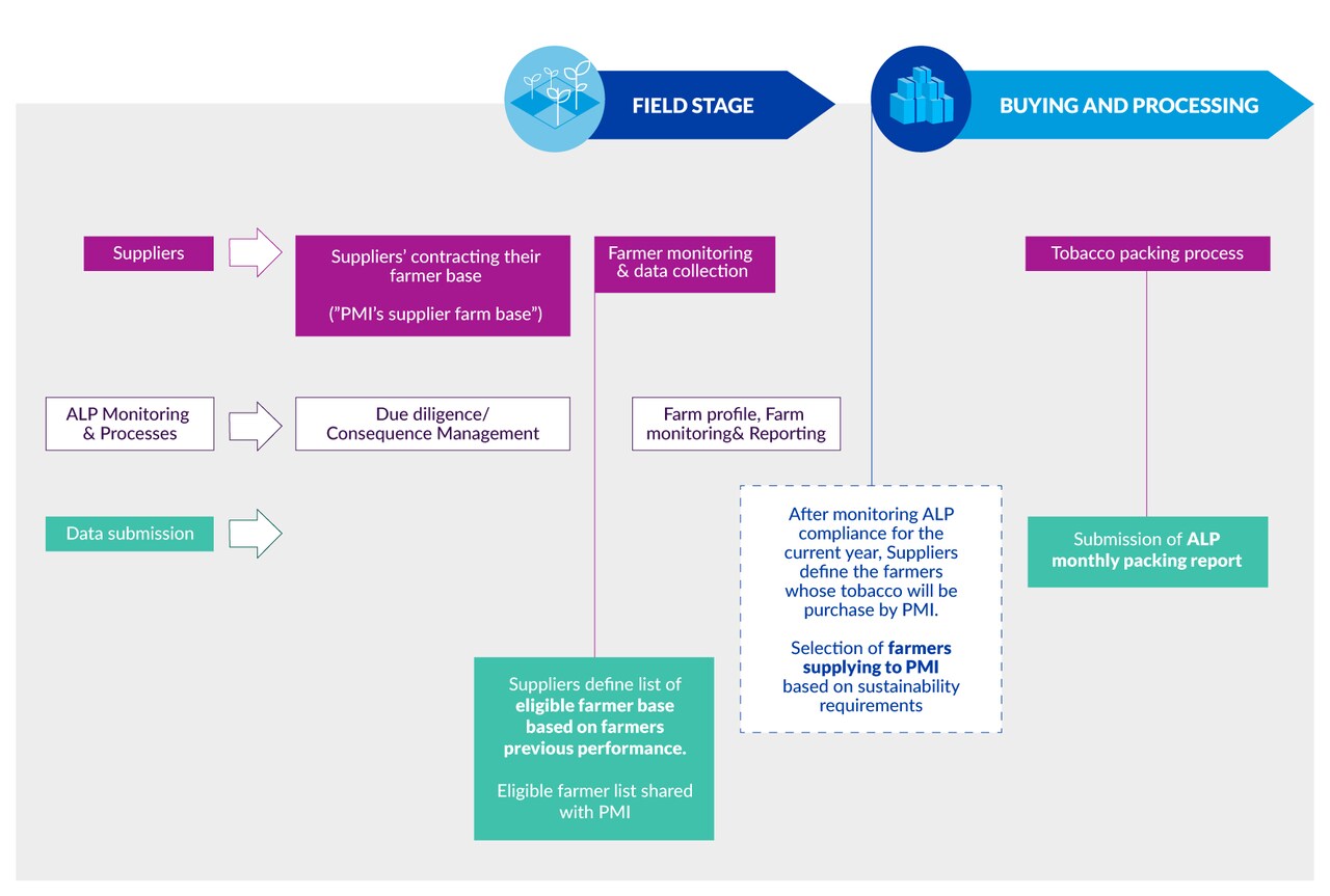 PMI's ALP program and Sustainable Tobacco Supply Chain framework | PMI ...