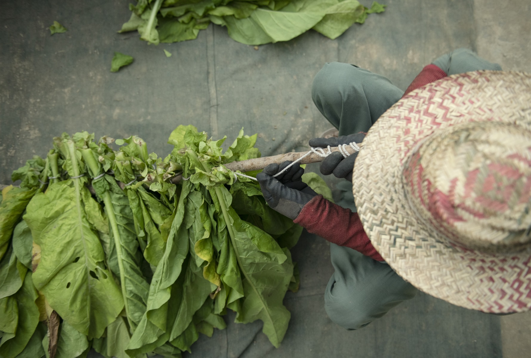 Human rights impact assessment in Pakistan| PMI - Philip Morris ...