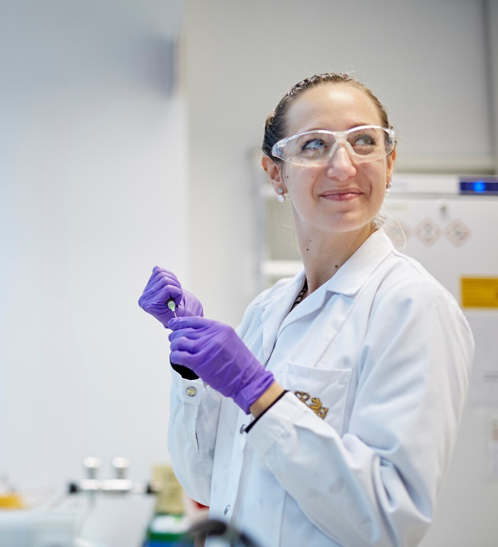 עמוד הבית | Philip Morris LTD.