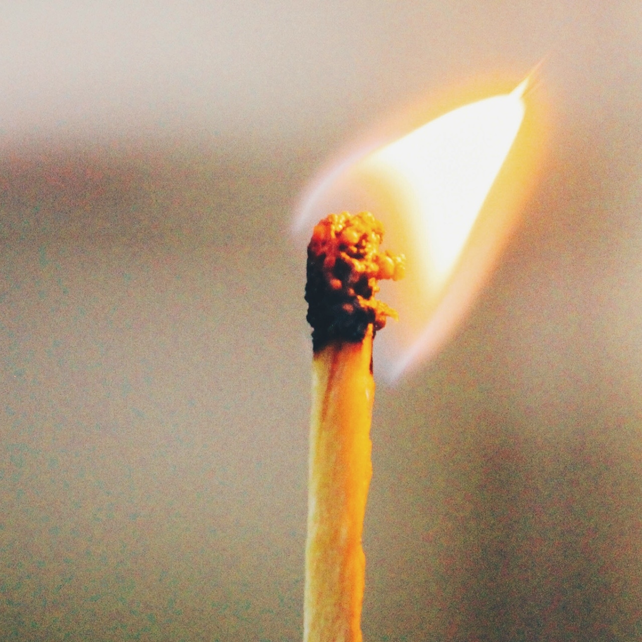 Why burning is the main problem | Philip Morris International