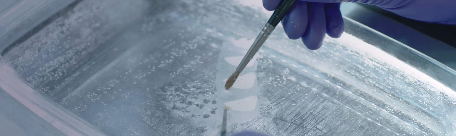 PMI's science & research on smoke-free products | PMI - Philip Morris ...