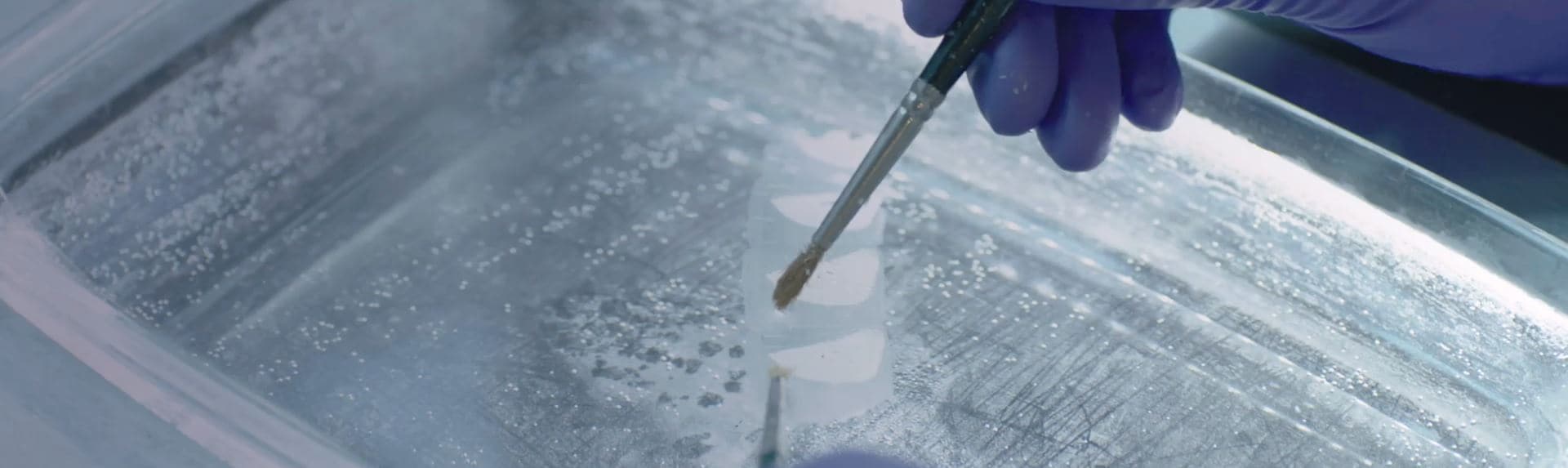 PMI's science & research on smoke-free products | PMI - Philip Morris ...