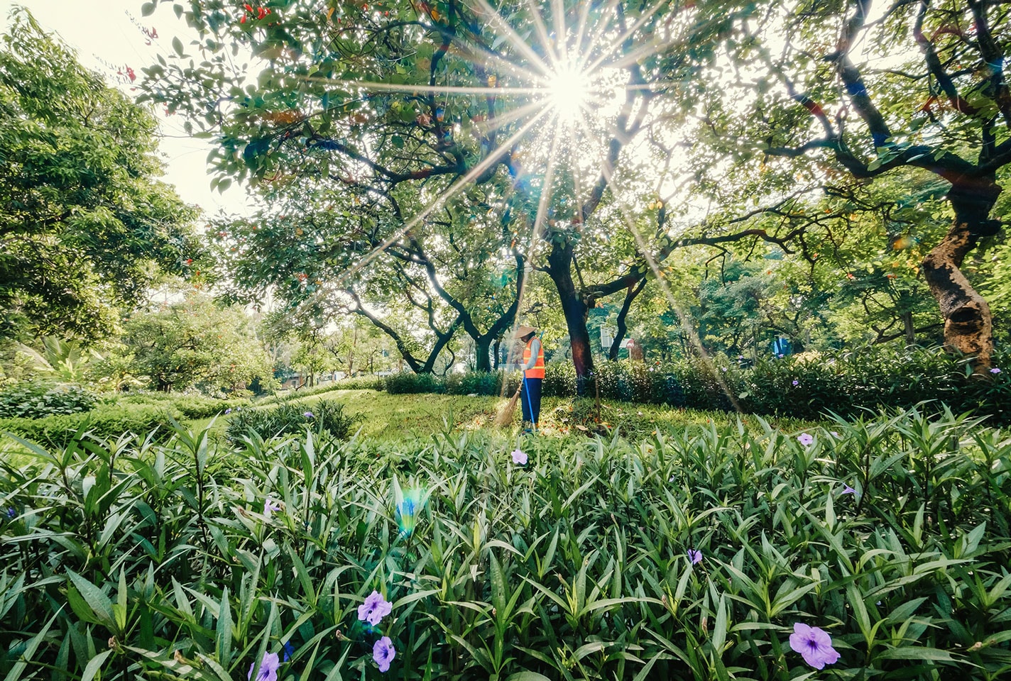 A holistic approach to water stewardship at our Sukorejo plant in ...