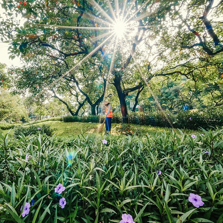 Sustainability | PMI - Pakistan - EN