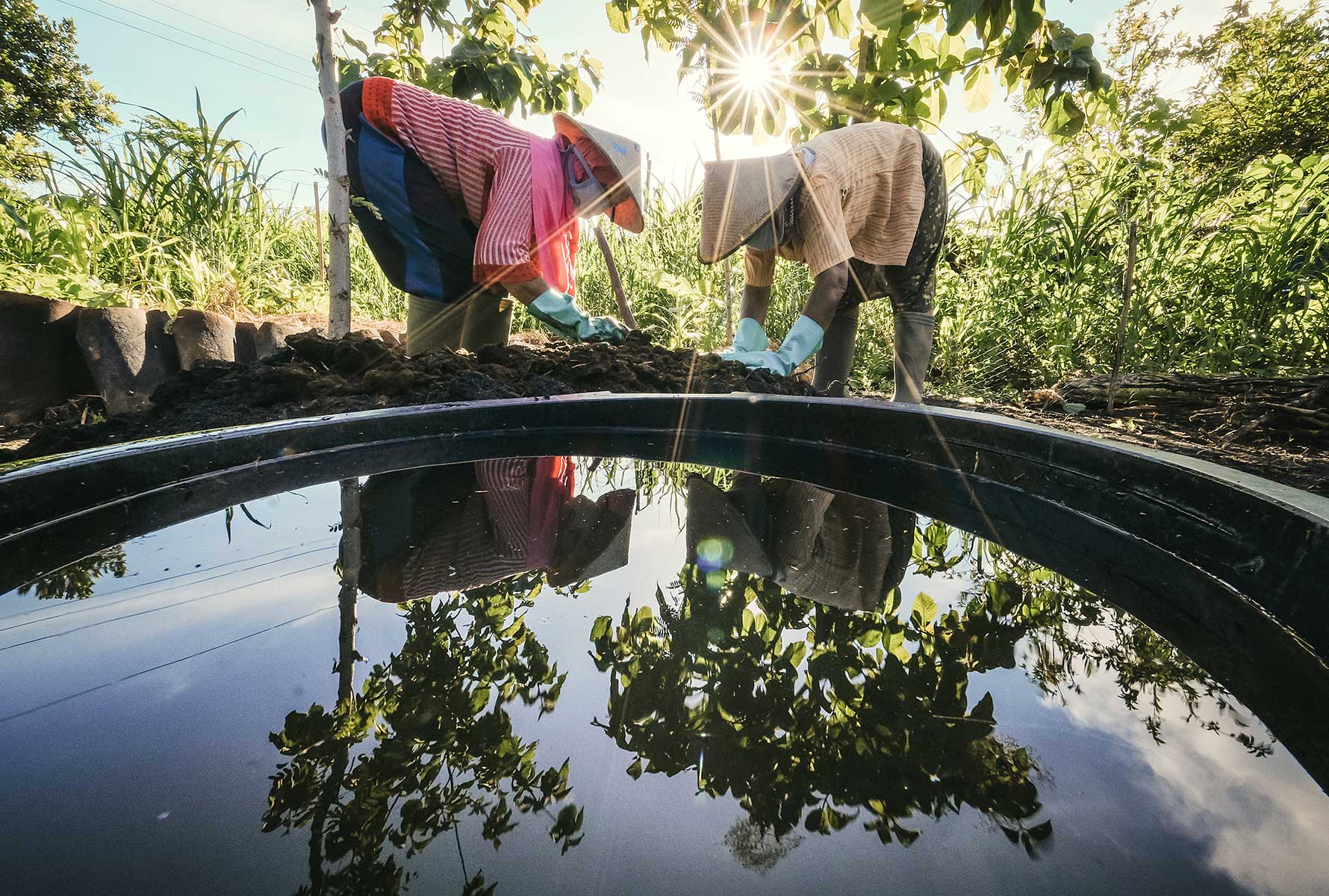Water stewardship - Progress 2020 | PMI - Philip Morris International