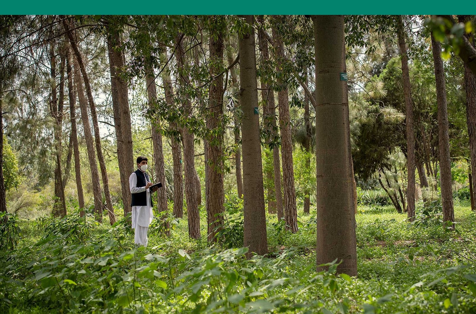 Protecting the environment | PMI - Philip Morris International