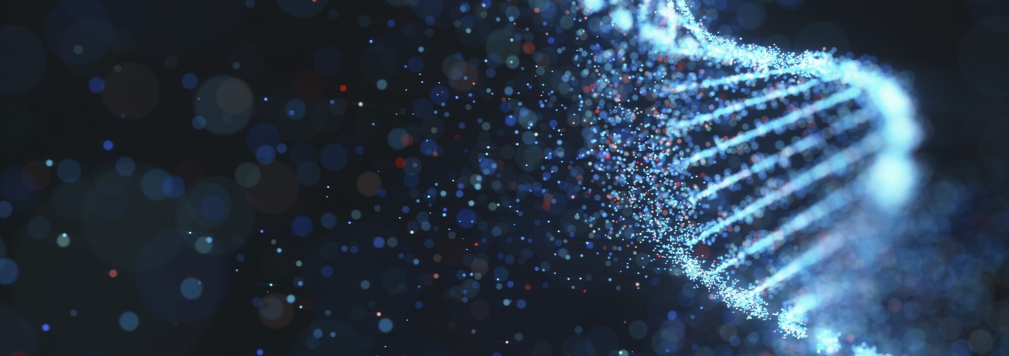 Fundamentals | PMI - Philip Morris International