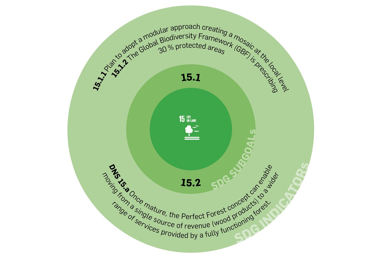 Perfect Forest™| PMI - Philip Morris International