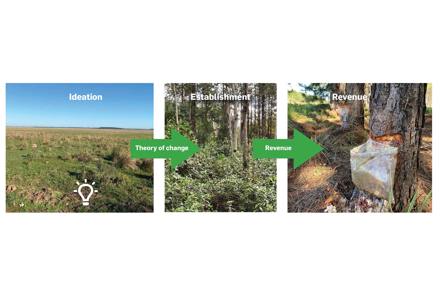 Perfect Forest™| PMI - Philip Morris International