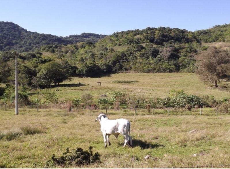 Sustainability and Geospatial Analysis - a recipe for informed ...