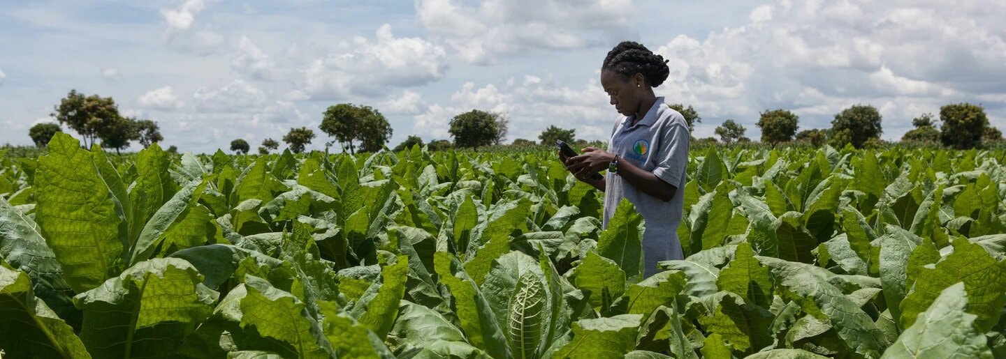 Tobacco economics | PMI - Philip Morris International