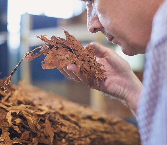 How cigarettes are made | PMI - Philip Morris International