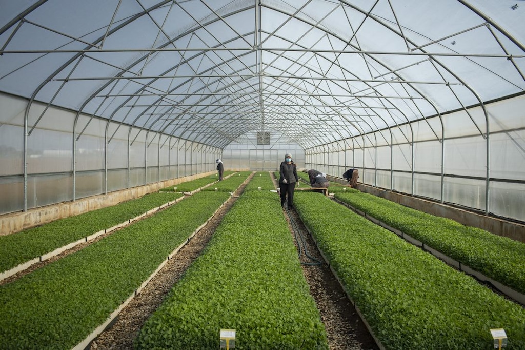 PMI ın Türkiye iştiraklerine hoş geldiniz.